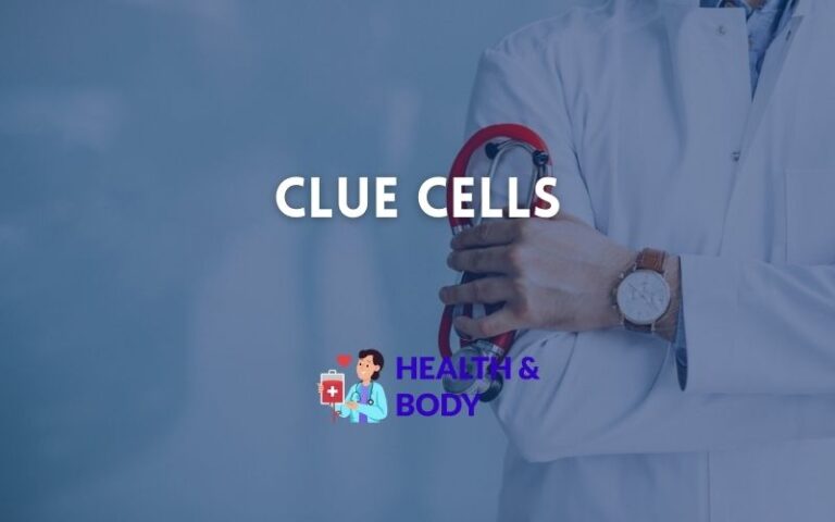 clue cell - Health & Body